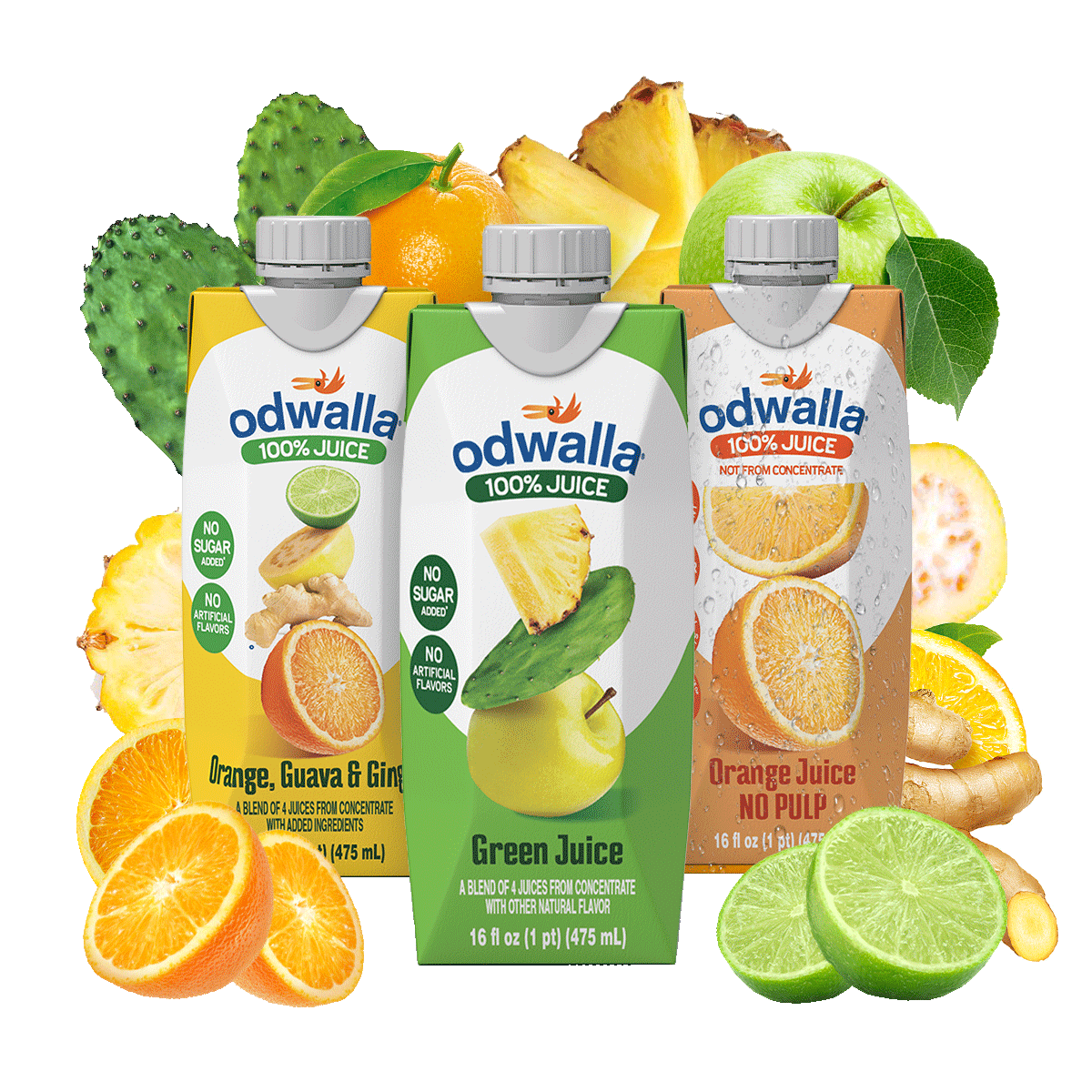 Juices Collection – Odwalla