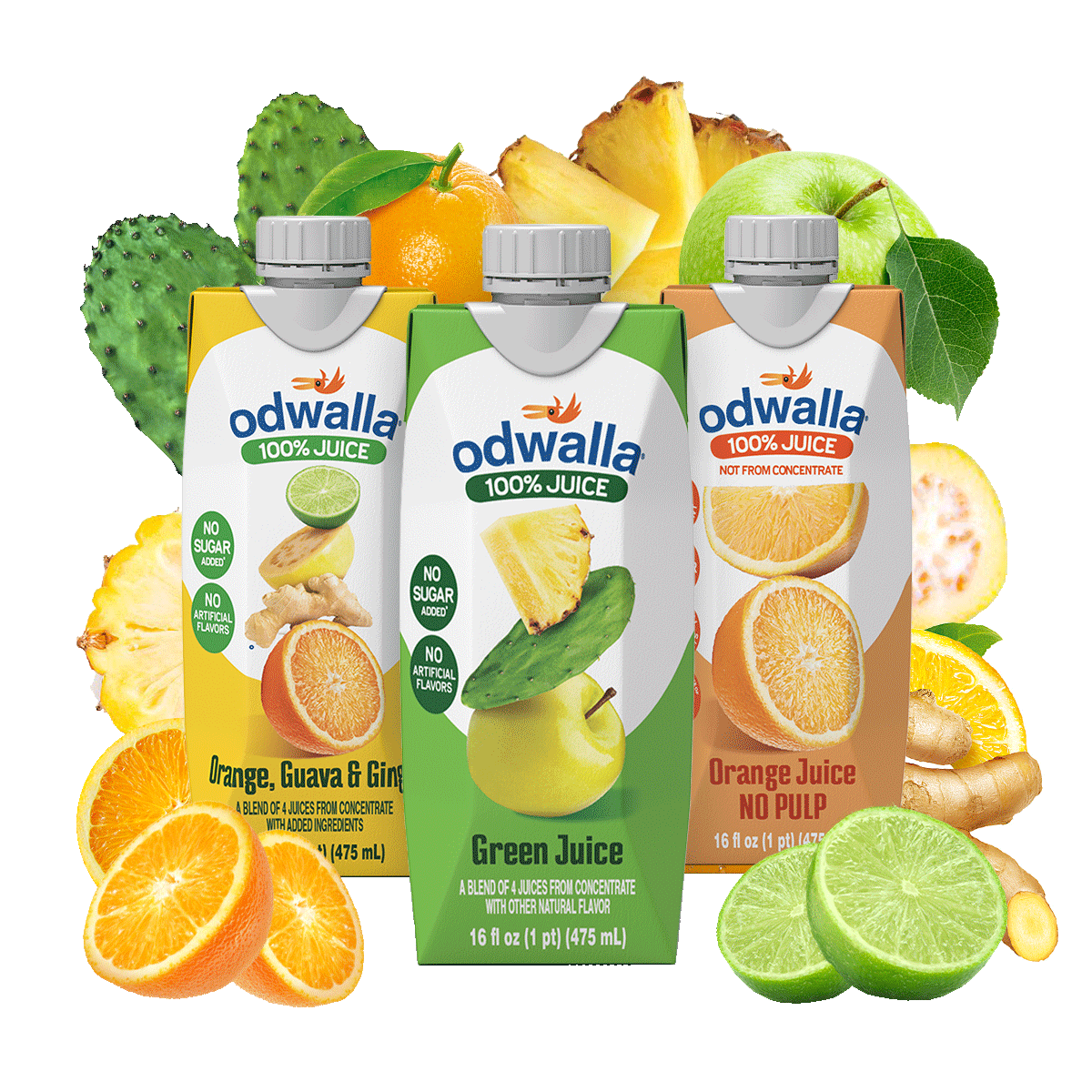 About Us – Odwalla