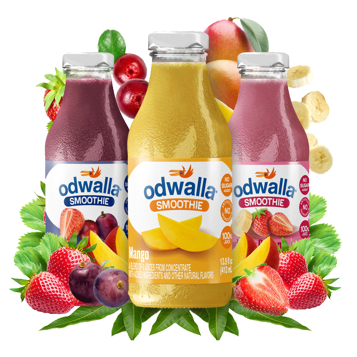 About Us – Odwalla
